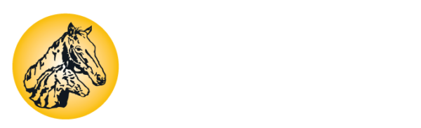 Home - Proton Competition